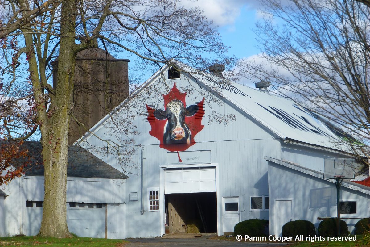 Connecticut Barns | Home and Garden Education Center