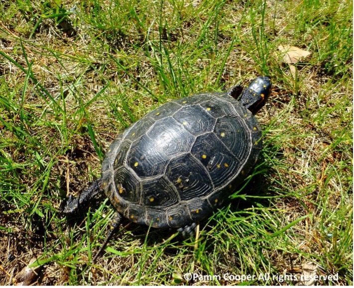 University of Connecticut | Home & Garden Education Center (HGEC)