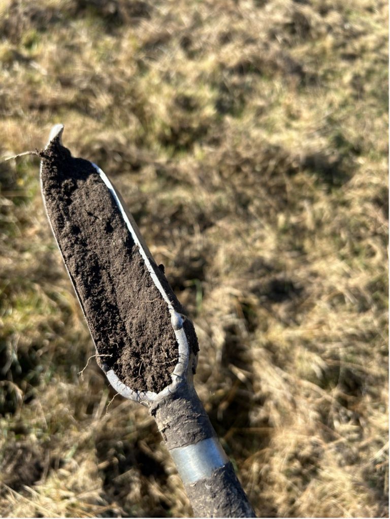 Best Practices for Soil Sample Collection: How You Sample Matters ...