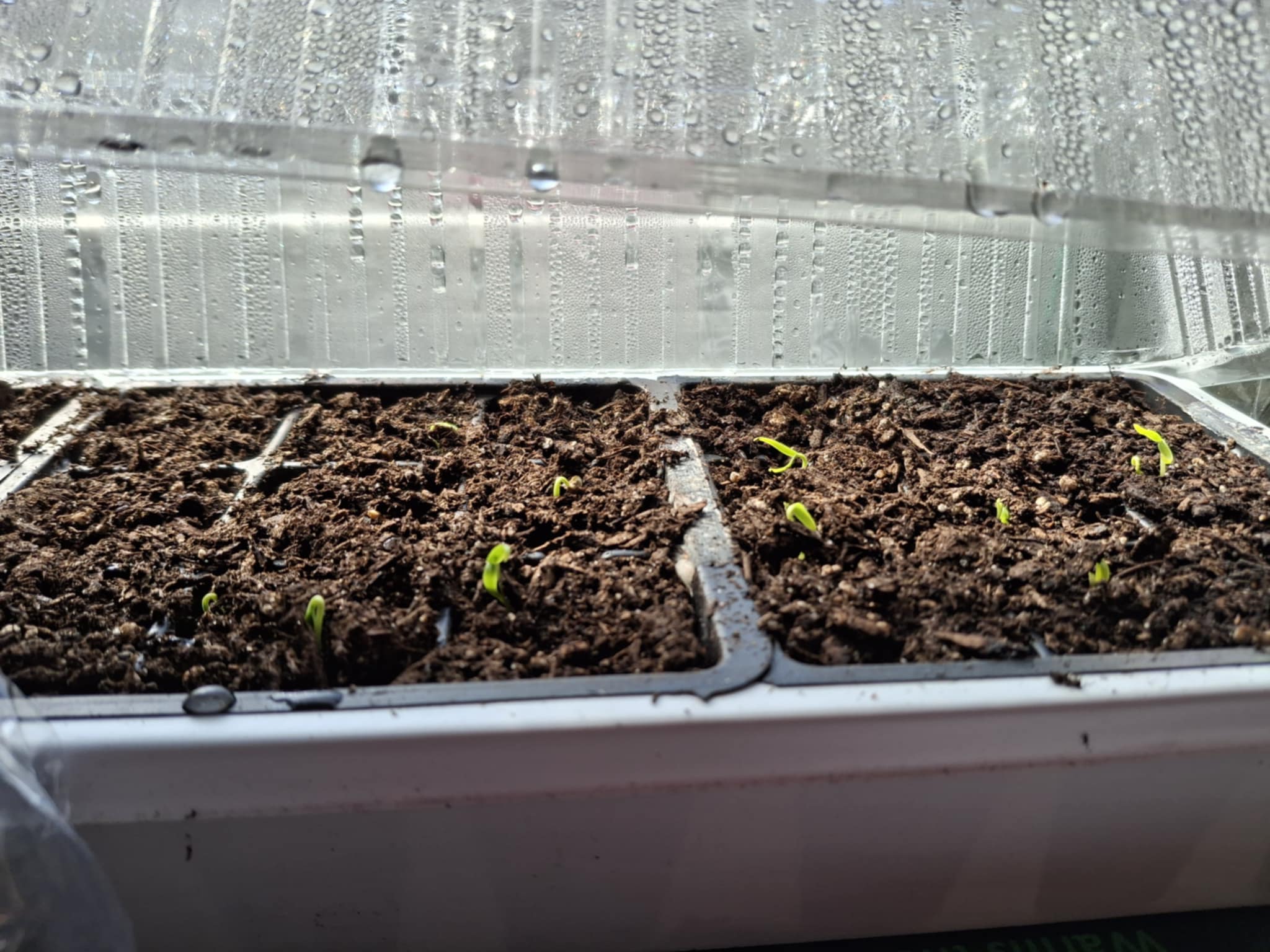 Plan Early For A Great Growing Season | Home and Garden Education Center